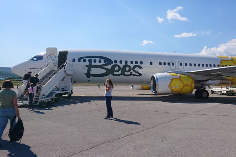 Авіакомпанія Bees Airline планує подвоїти свій флот - Голос українською ...